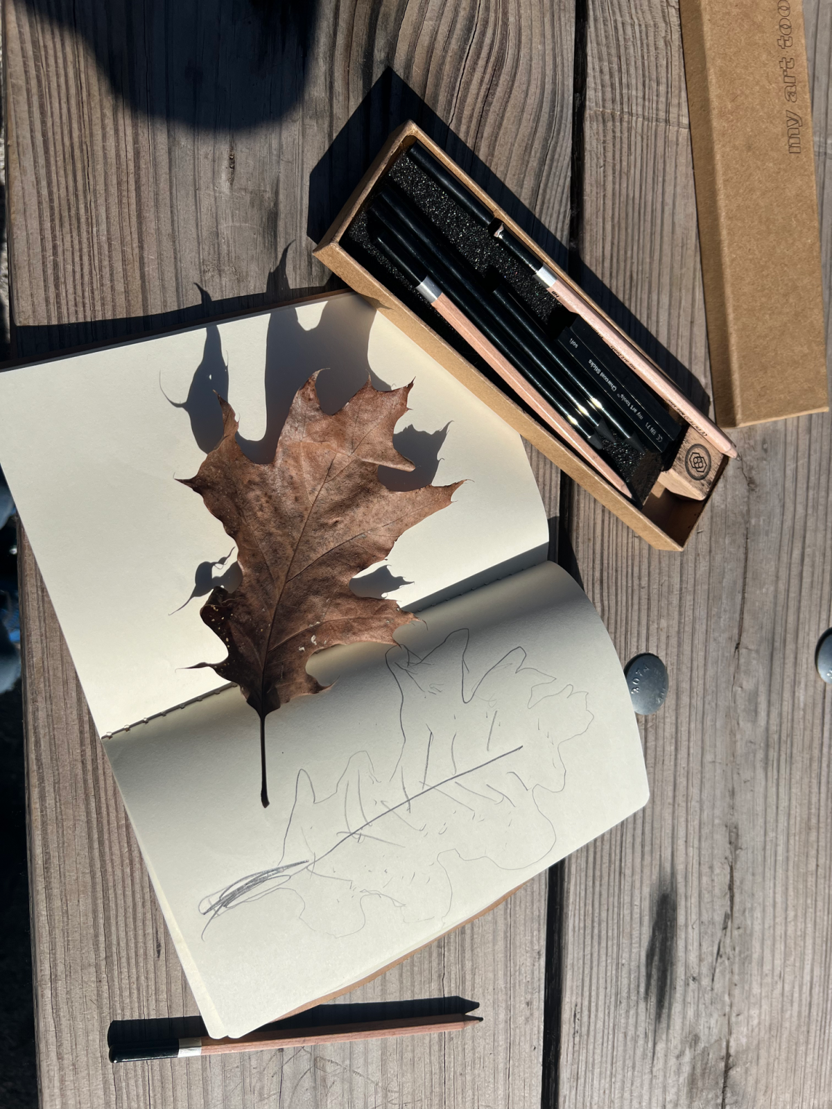 Winter Nature Journals