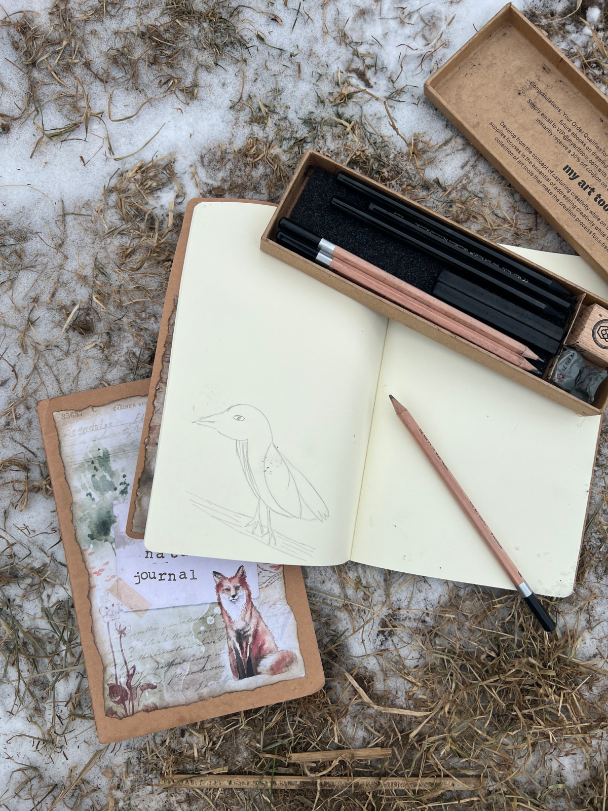 Winter Nature Journals